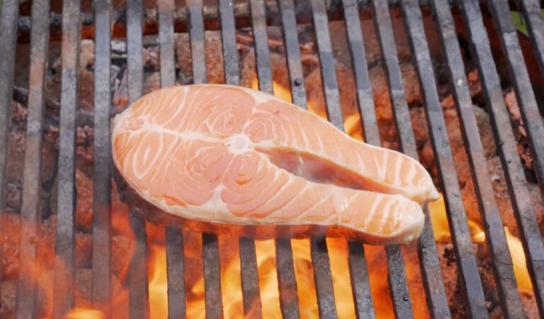 Stainless Steel Vs Porcelain Grill Grates - The Ultimate Guide